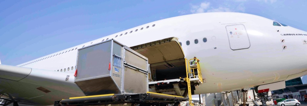 Your Partner in ULD Excellence - AviusULD